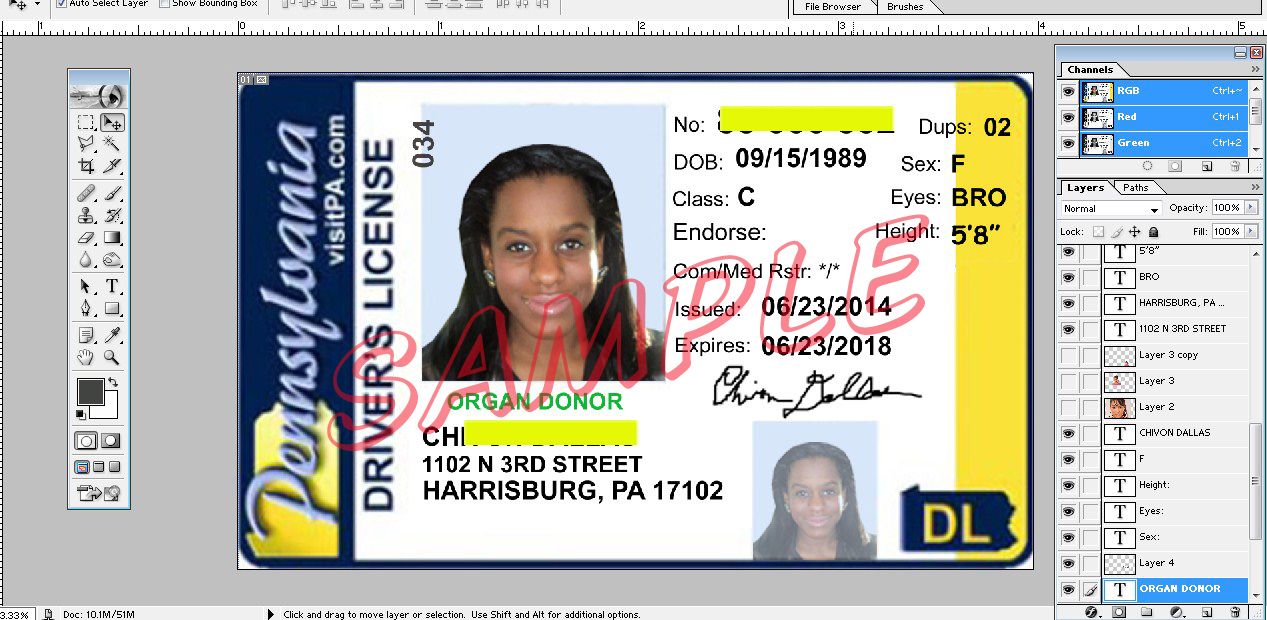 Driver License & SSN – Novelty Document USA